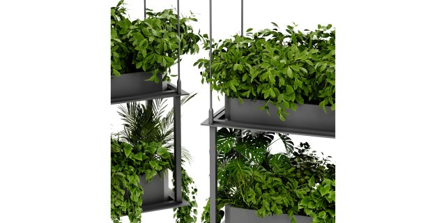 Collection Plant Vol 470 - Blender Model 3D Model in Small Plants 3DExport