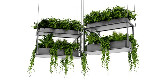 Collection Plant Vol 470 - Blender Model 3D Model in Small Plants 3DExport