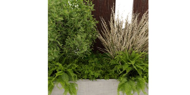 Collection plant vol 493 - blender model 3D Model in Small Plants 3DExport