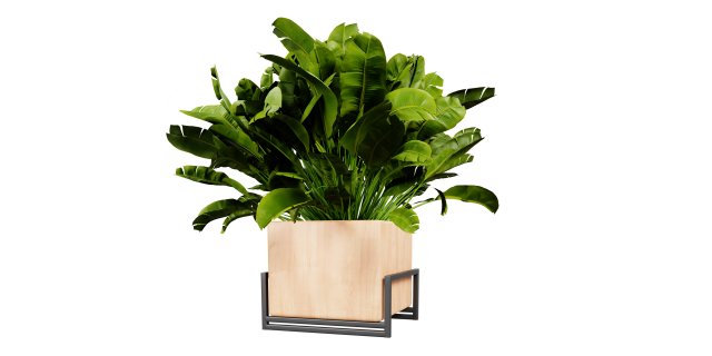 Collection plant vol 520 - blende model 3D Model in Small Plants 3DExport