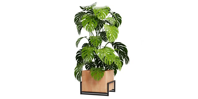 Collection plant vol 520 - blende model 3D Model in Small Plants 3DExport