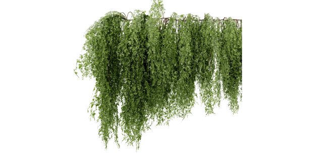 Collection plant vol 522 - blender model 3D Model in Bush 3DExport