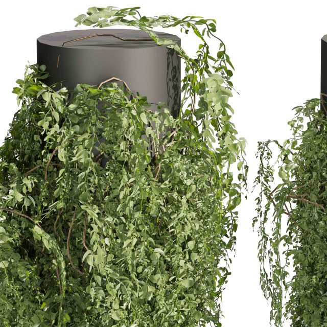 Collection plant vol 526 - bush - outdoor - column - fitowall - ivy 3D Model in Small Plants ...