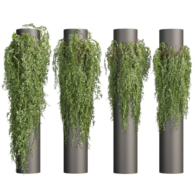 Collection plant vol 526 - bush - outdoor - column - fitowall - ivy 3D Model in Small Plants ...