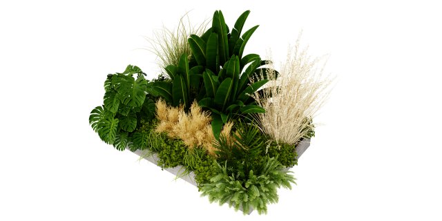 Collection plant vol 539 - blender model 3D Model in Small Plants 3DExport