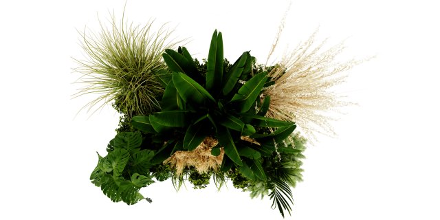 Collection plant vol 539 - blender model 3D Model in Small Plants 3DExport