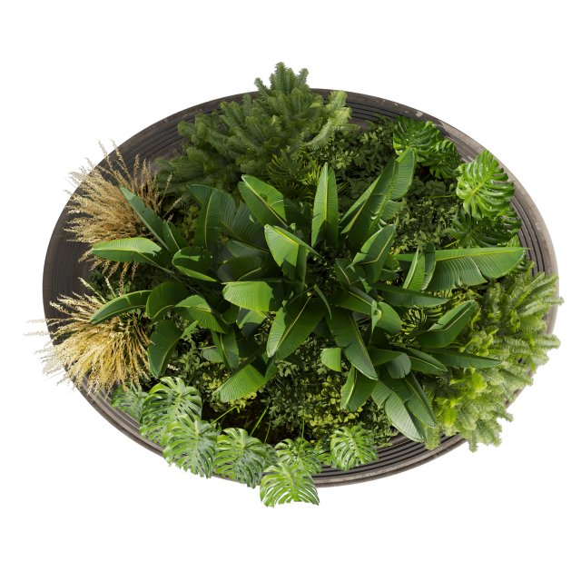 Collection plant vol 544 - garden - Landscape Design - backyard Model ...