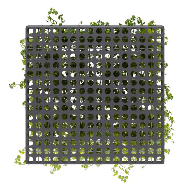 Collection plant vol 545 - ampelous - hanging - False Ceiling ...