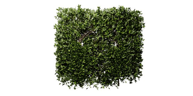 Collection plant vol 546 - blender model 3D Model in Small Plants 3DExport