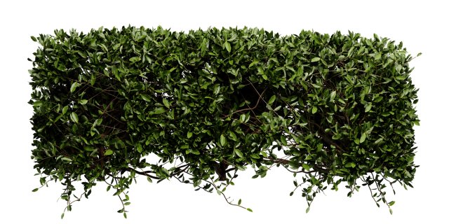 Collection plant vol 546 - blender model 3D Model in Small Plants 3DExport