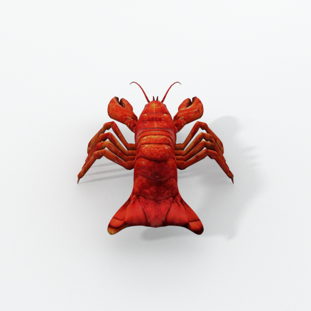 Lobster 3D Model in Other 3DExport