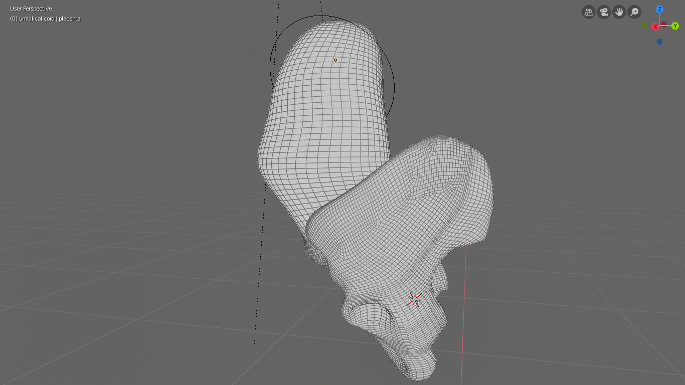 Pregnant and fetus 3D Model in Anatomy 3DExport