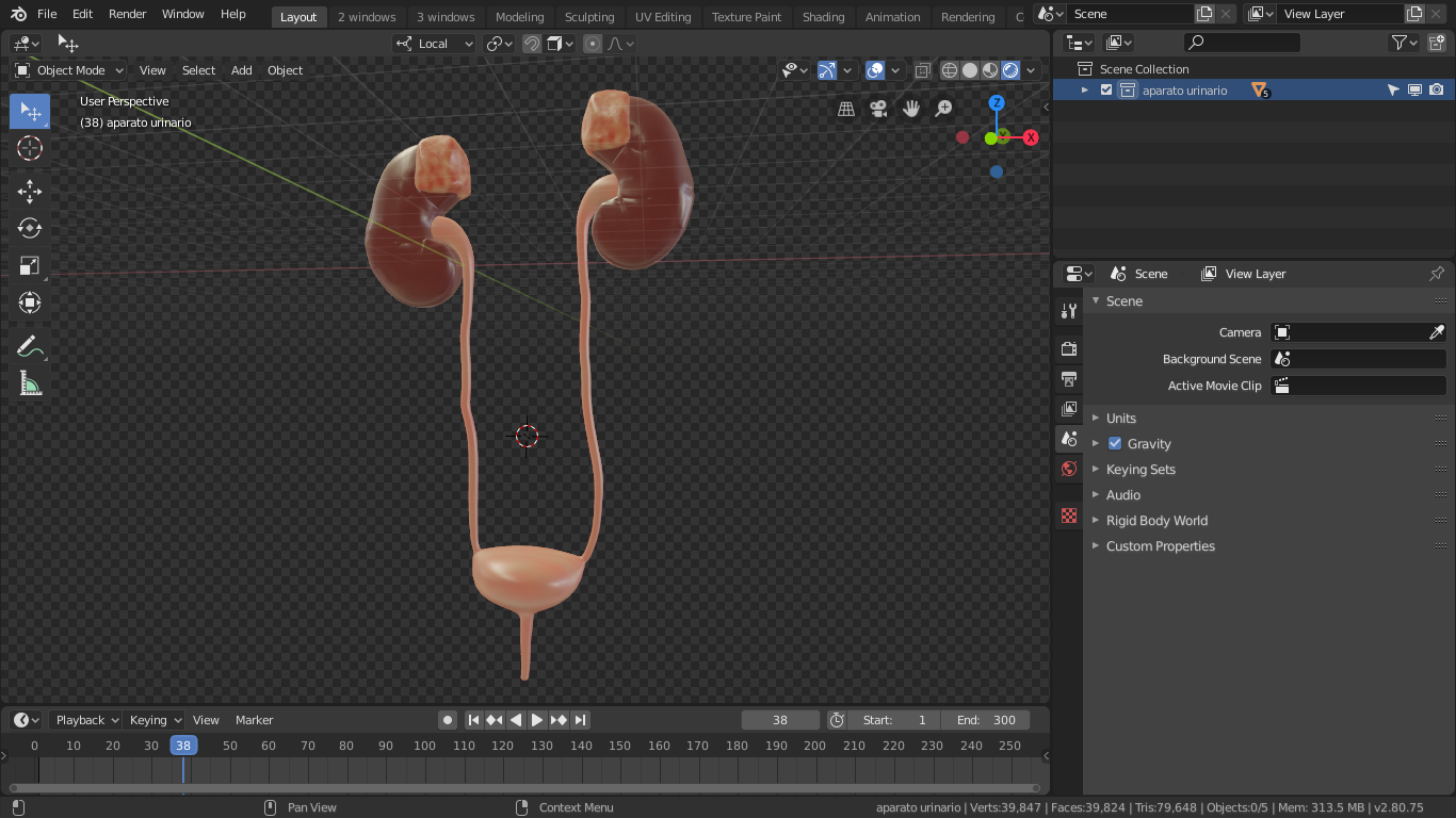 urinary system 3D Models in Medicines 3DExport
