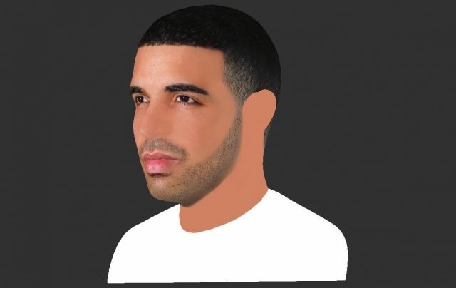drake bust ready for full color 3d printing 3D Print Model in Man 3DExport