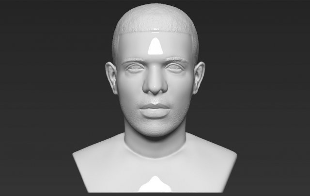 drake bust ready for full color 3d printing 3D Print Model in Man 3DExport