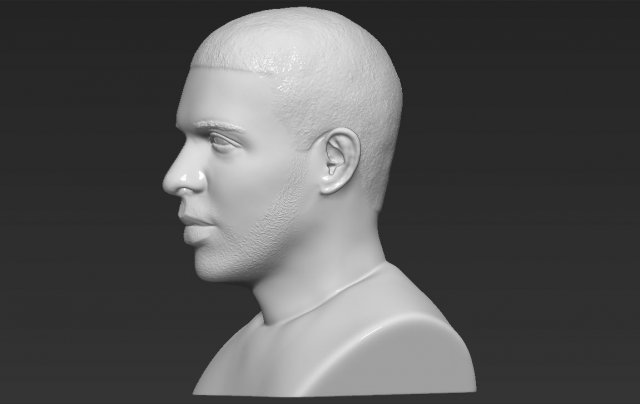 drake bust ready for full color 3d printing 3D Print Model in Man 3DExport