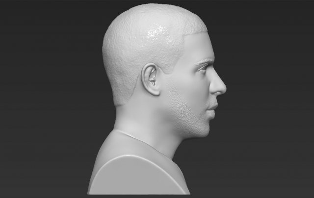 drake bust ready for full color 3d printing 3D Print Model in Man 3DExport