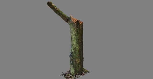 stick Free 3D Model in Tree 3DExport