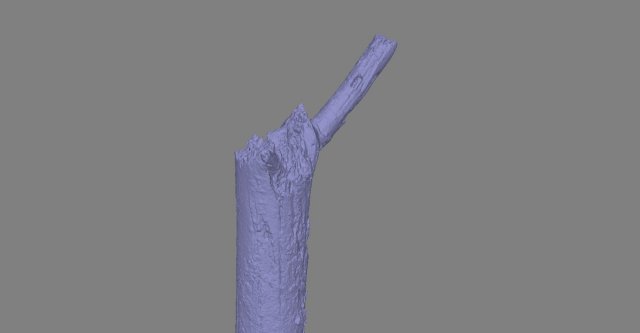 stick Free 3D Model in Tree 3DExport