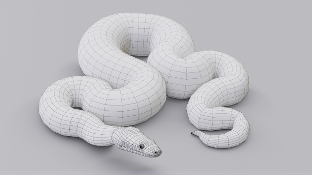 boa constrictor - animated 3D Model in Reptile 3DExport