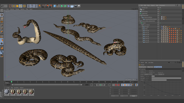 burmese python - animated 3D Model in Reptile 3DExport