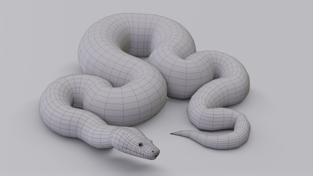 burmese python - animated 3D Model in Reptile 3DExport