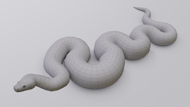 burmese python - animated 3D Model in Reptile 3DExport