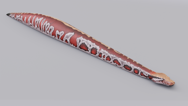 blood python - animated 3D Model in Reptile 3DExport