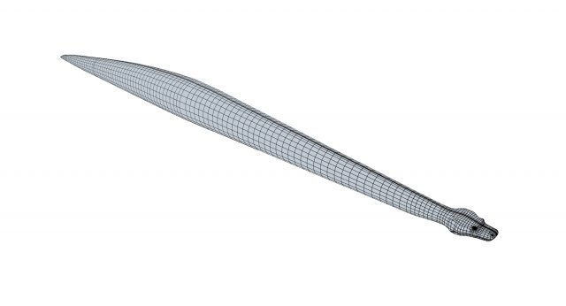 blood python - animated 3D Model in Reptile 3DExport