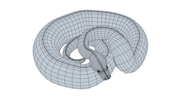 blood python - animated 3D Model in Reptile 3DExport