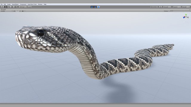 eastern diamondback rattlesnake - animated 3D Model in Reptile 3DExport