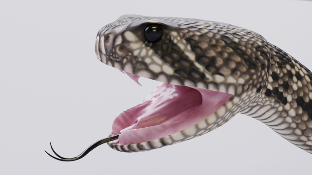 eastern diamondback rattlesnake - animated 3D Model in Reptile 3DExport