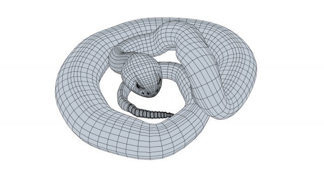 eastern diamondback rattlesnake - animated 3D Model in Reptile 3DExport