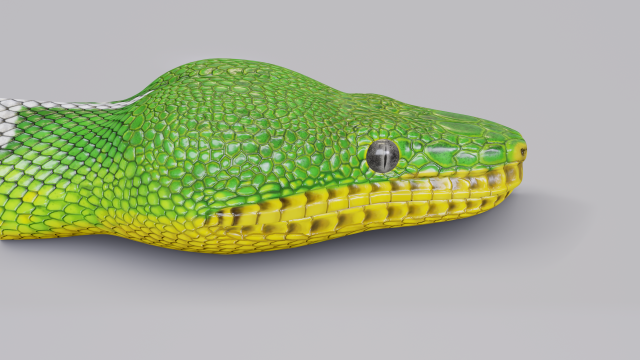 emerald tree boa - animated 3D Model in Reptile 3DExport