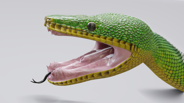 emerald tree boa - animated 3D Model in Reptile 3DExport