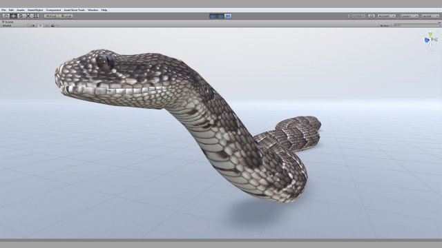 puff adder 3D Model in Reptile 3DExport