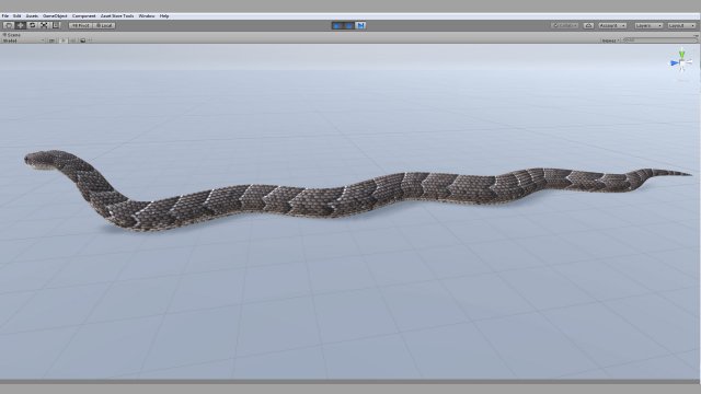 puff adder 3D Model in Reptile 3DExport