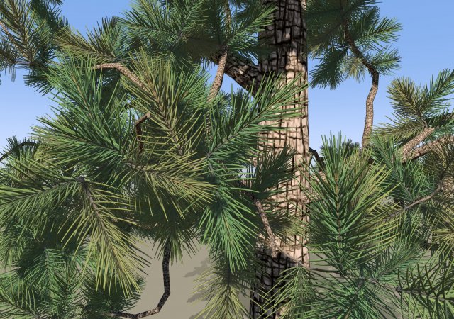 Pine tree Free 3D Model in Tree 3DExport