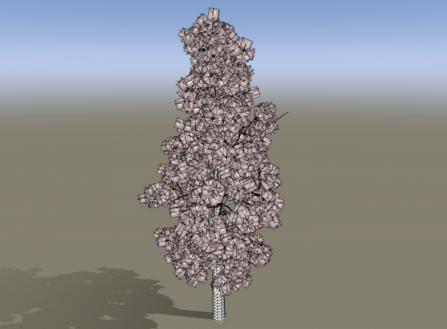 Pine tree Free 3D Model in Tree 3DExport