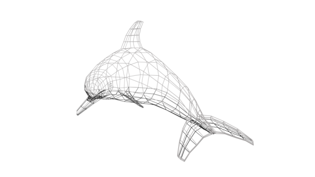 low poly cartoon dolphin 3D Model in Dolphin 3DExport