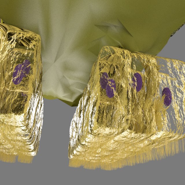 Olfactory system smell odour detail labelled 3D Model in Anatomy 3DExport