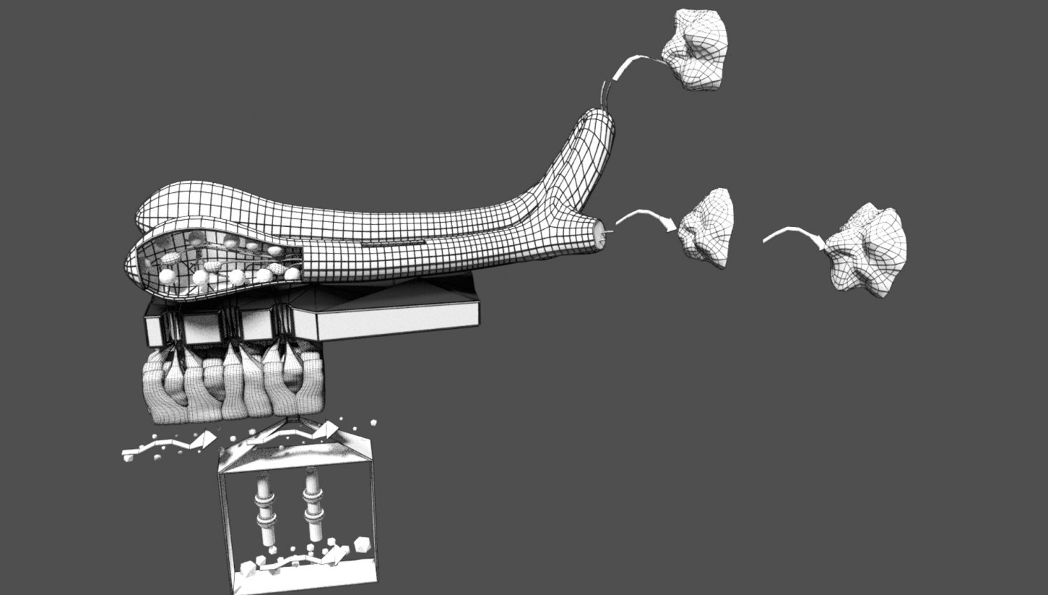 Olfactory system smell odour detail labelled 3D-Modell in Anatomie 3DExport