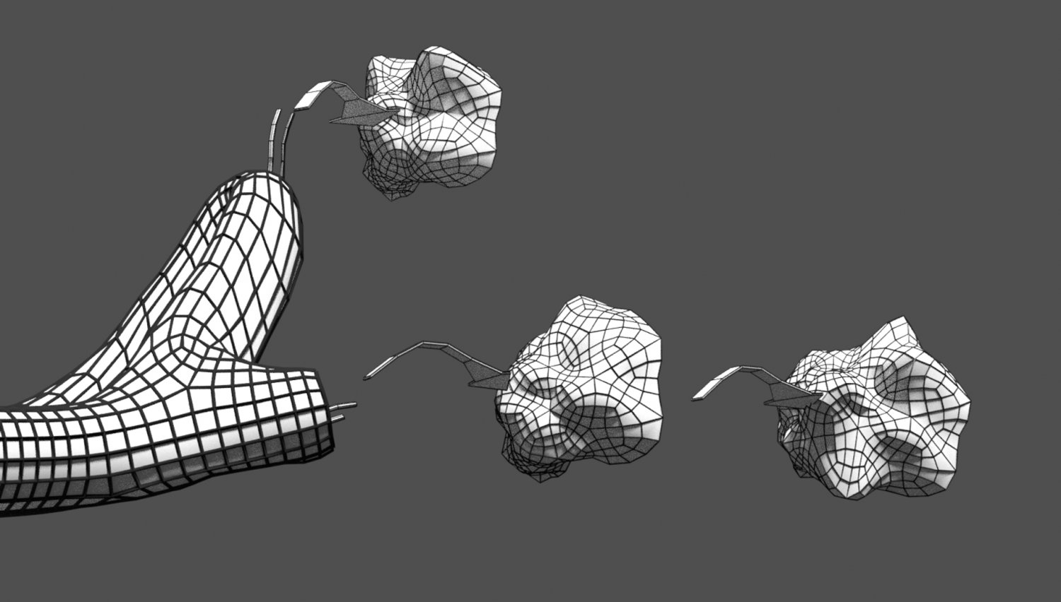 Olfactory system smell odour detail labelled 3D-Modell in Anatomie 3DExport