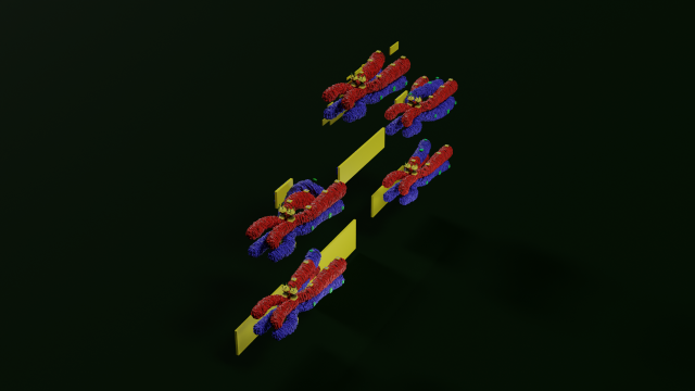 Chromosome genetic recombination blender 3d 3D Model in Other 3DExport