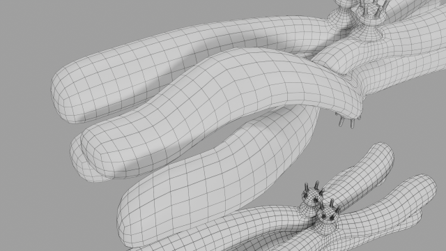 Chromosome genetic recombination blender 3d 3D Model in Other 3DExport