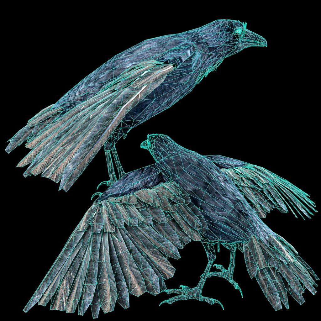 Crow 3D Model in Bird 3DExport