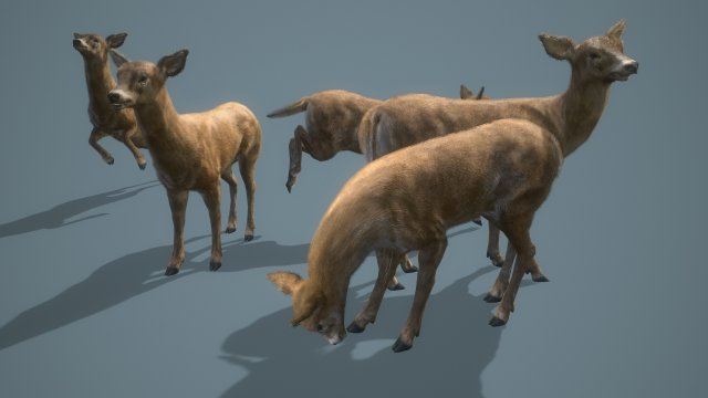 deer doe animated pbr low-poly 3D Model in Deer 3DExport