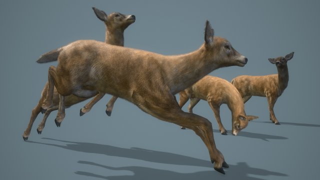 deer doe animated pbr low-poly 3D Model in Deer 3DExport