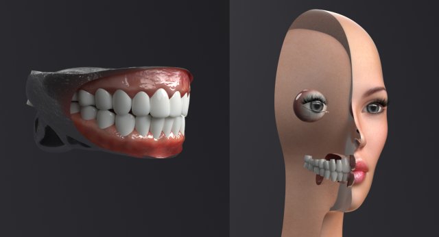 Princess angie 3D Model in Woman 3DExport