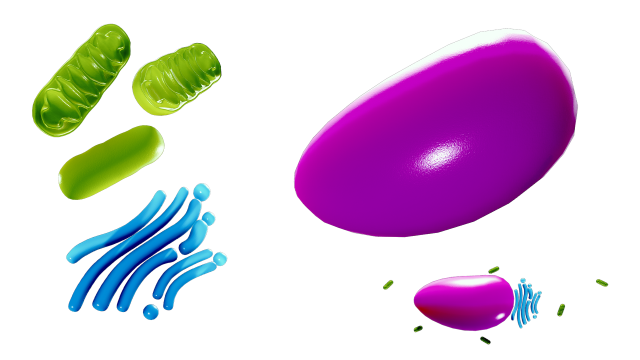 Osteocyte Bone Cell 3D Model in Anatomy 3DExport